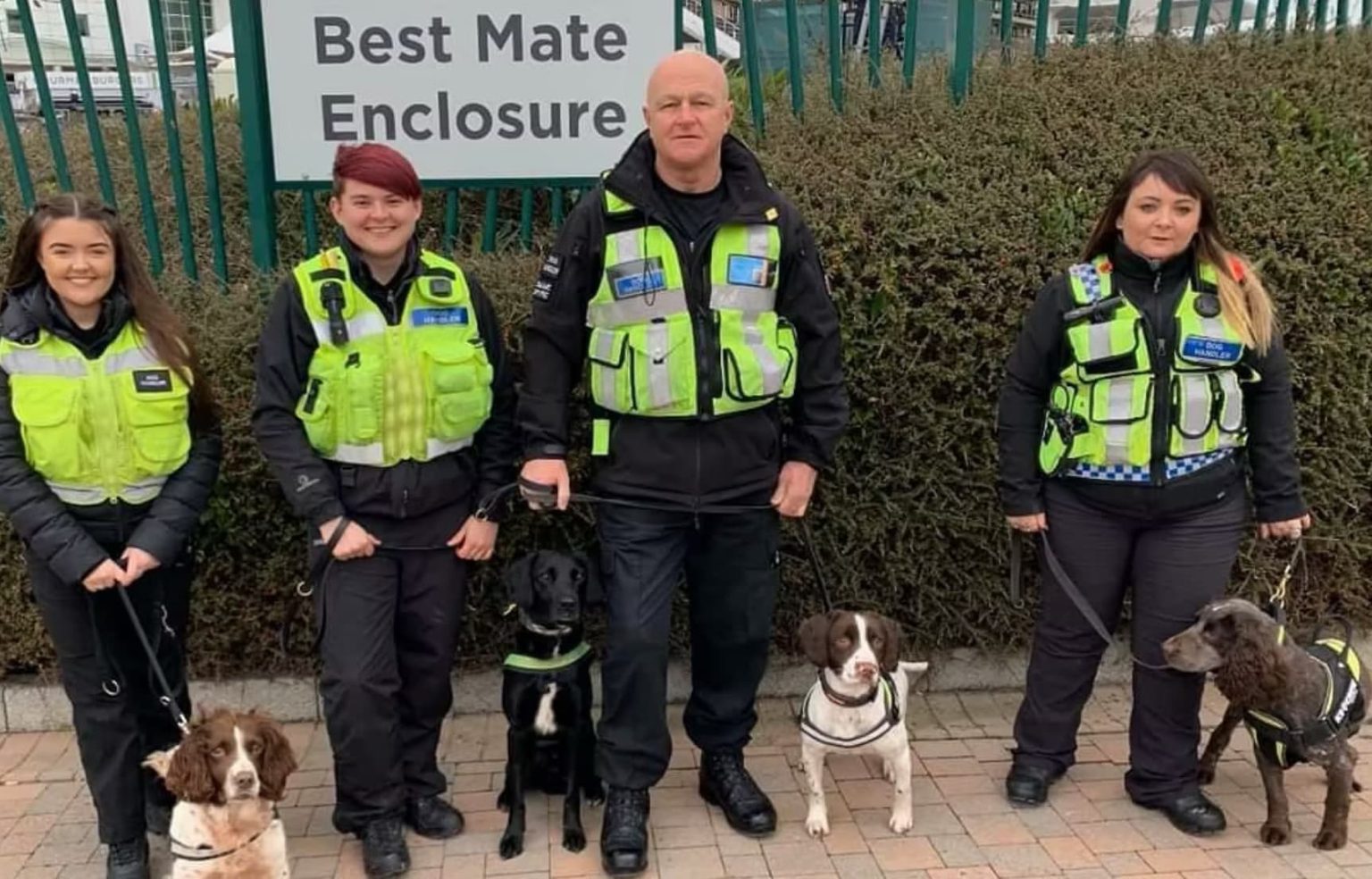 Case Study: K9 Handling in Schools | Oculus FM